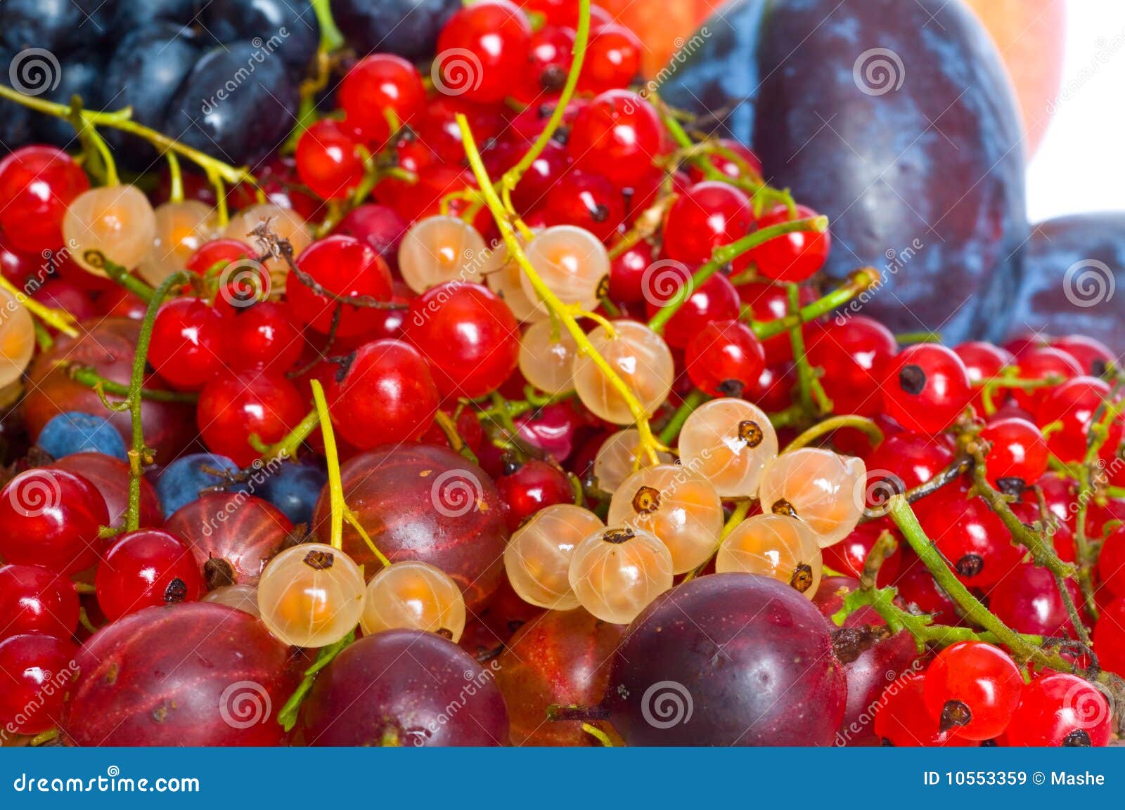 Frutas frescas y baya. imagen de archivo. Imagen de grupo - 10553359