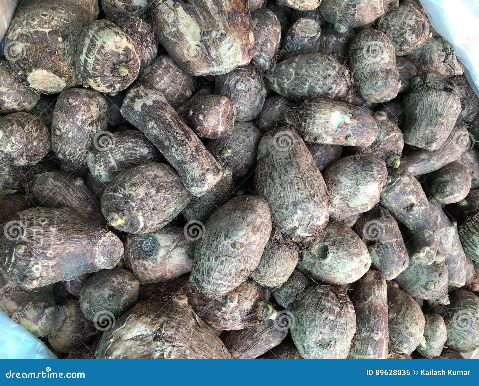 Frutas negras foto de archivo. Imagen de uvas, anaranjado - 89628036