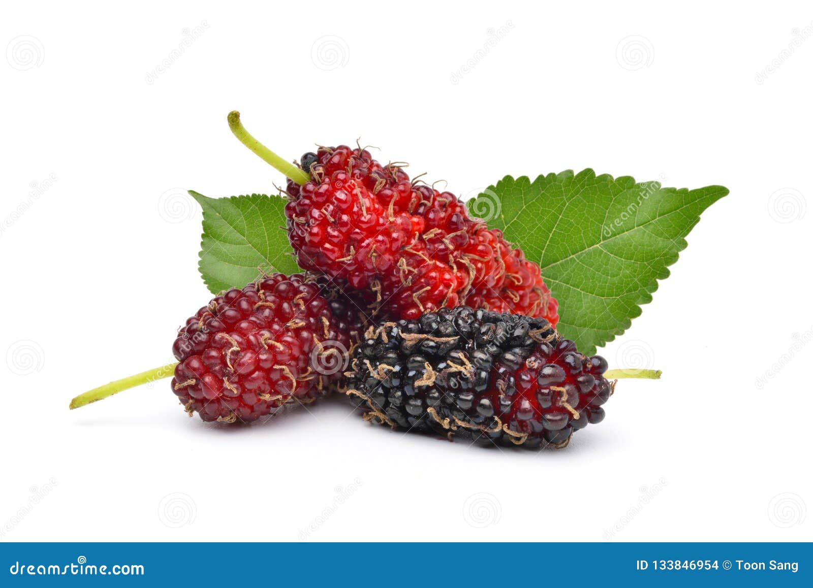 Frutas Orgánicas De La Mora Roja Foto de archivo - Imagen de cubo, baya ...