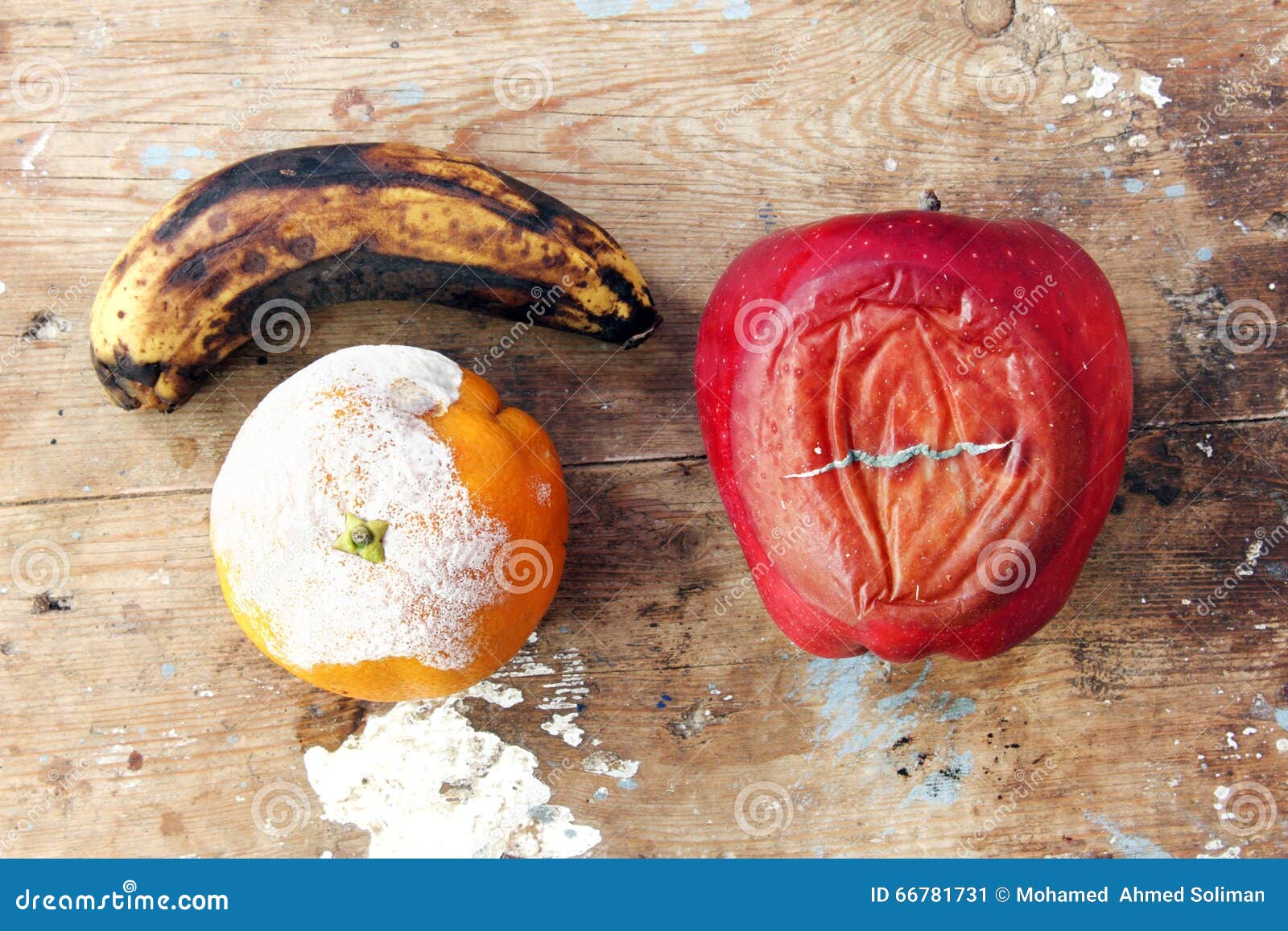 imagens de stock Podres - Baixe 2,363 Royalty Free