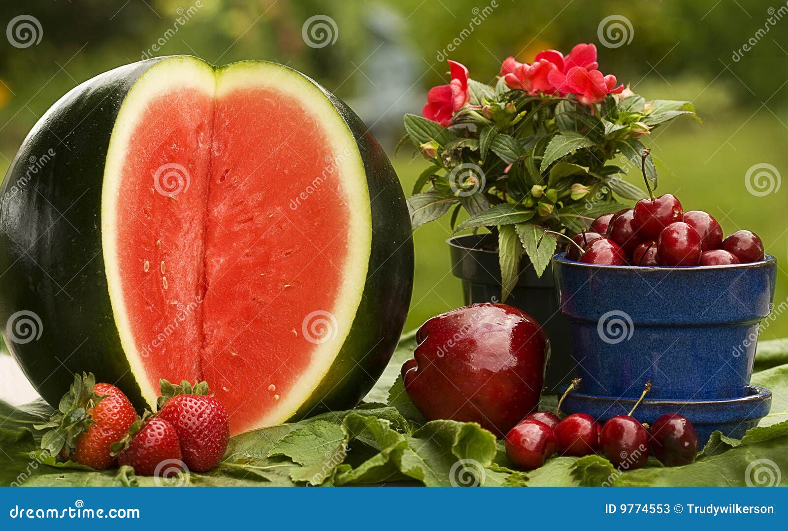 Frutas rojas del verano imagen de archivo. Imagen de bebé - 9774553