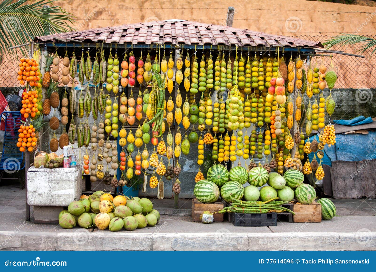 Frutas Tradicionales De Amazonic Foto de archivo - Imagen de brasil ...