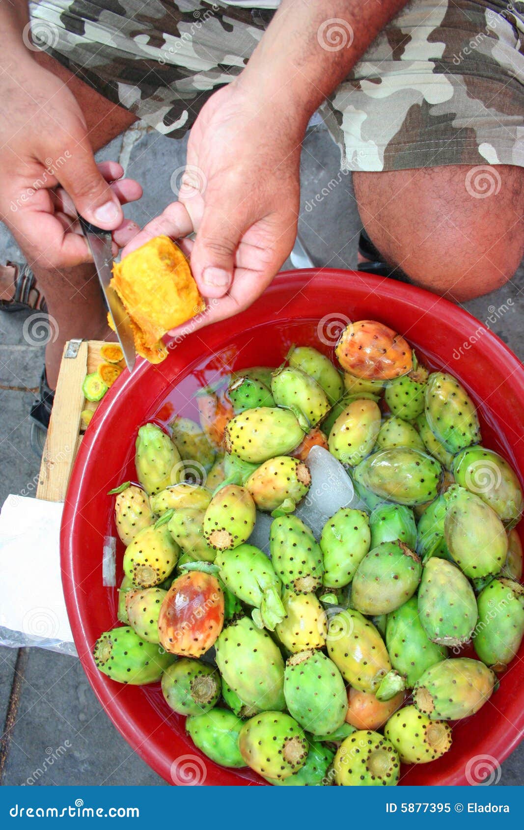 Frutas tropicais do cacto imagem de stock. Imagem de médio - 5877395