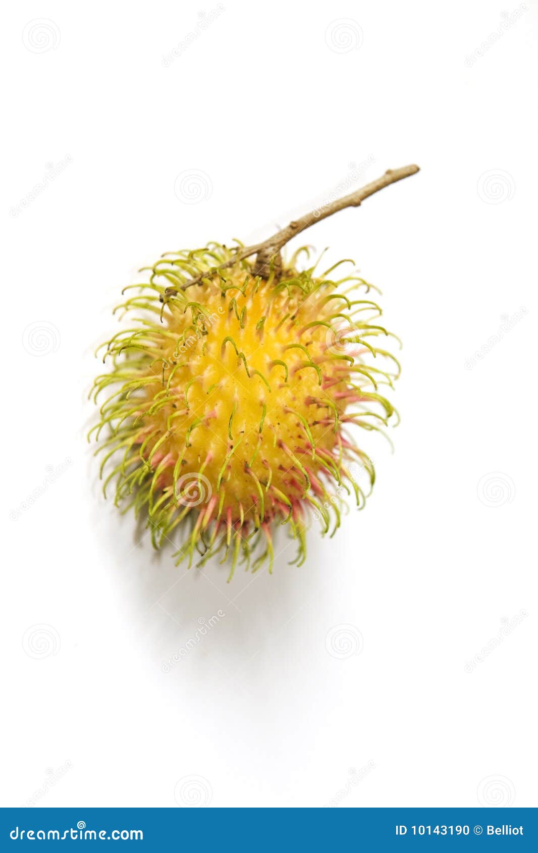 Frutas Tropicales Del Rambutan Amarillo Foto de archivo - Imagen de ...