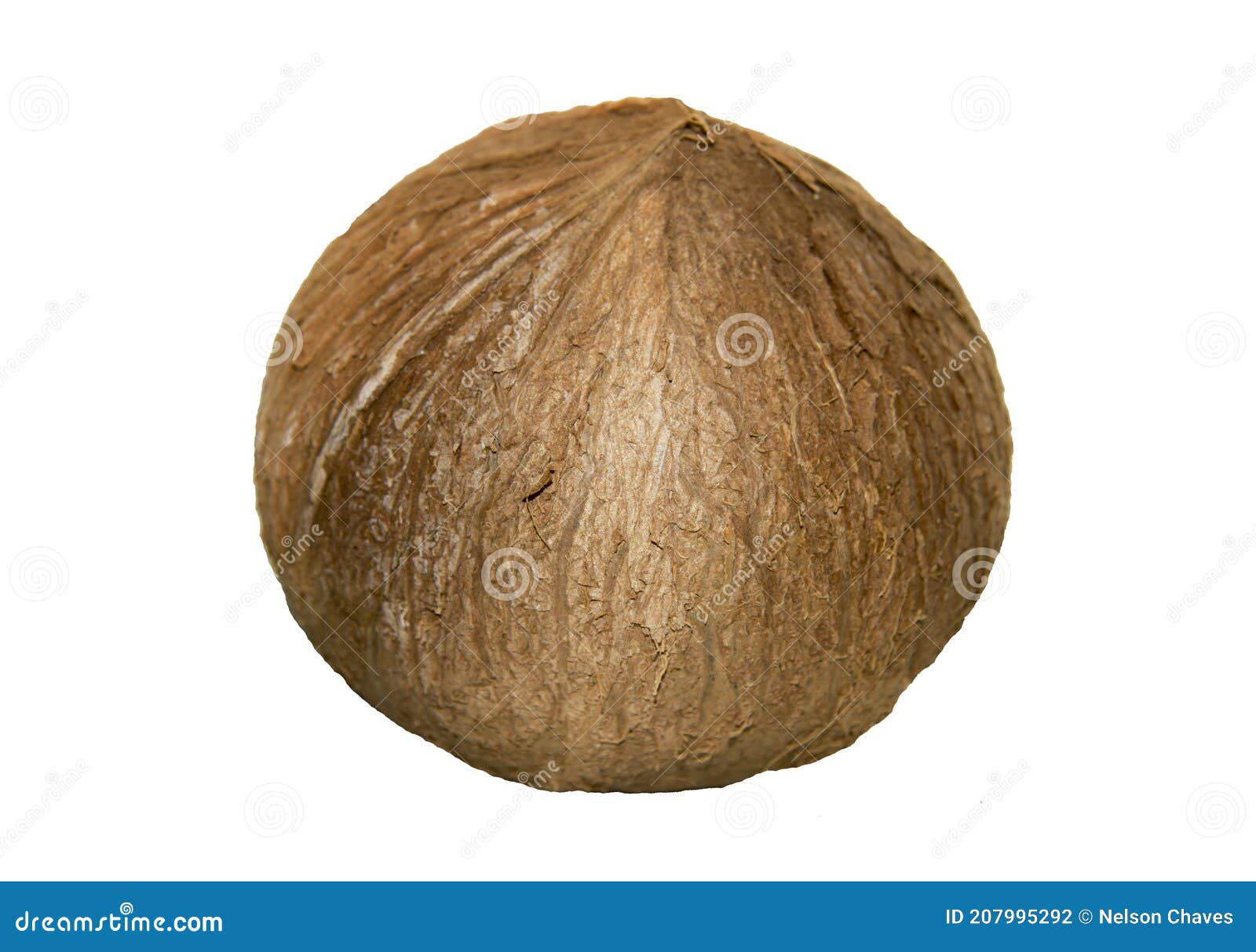 Frutas tropicales marrones foto de archivo. Imagen de planta - 207995292