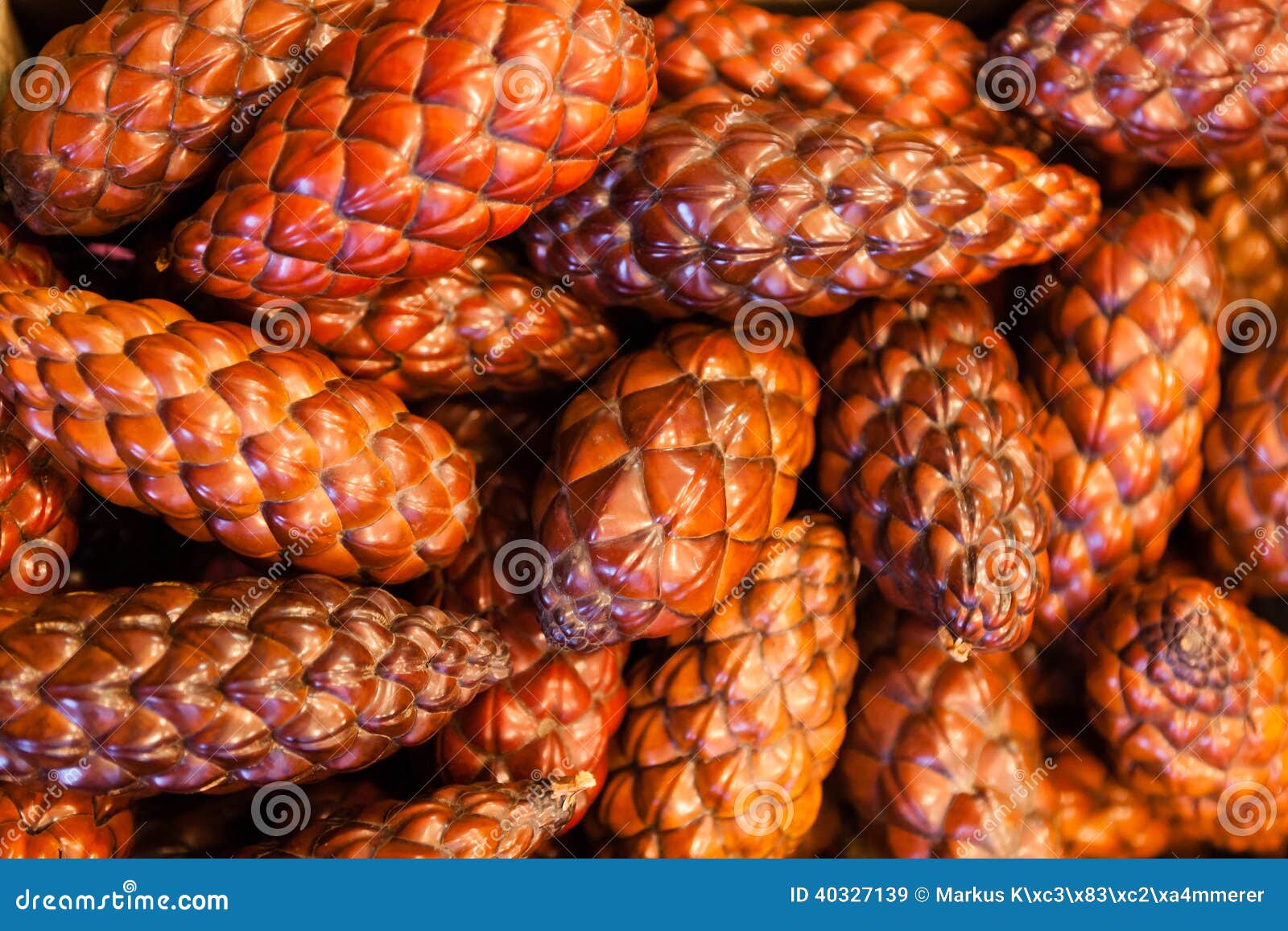 Fruto da palma de data imagem de stock. Imagem de gostoso - 40327139