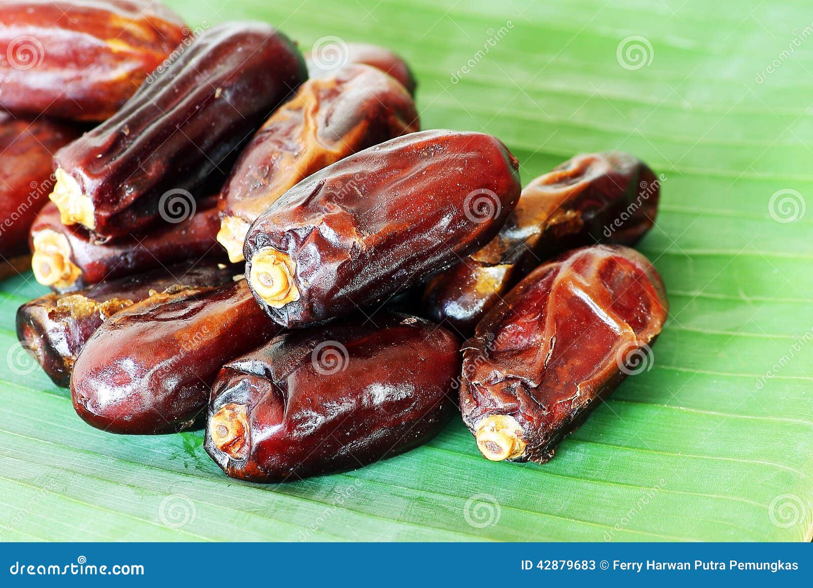 Fruto da palma de data imagem de stock. Imagem de marrom - 42879683