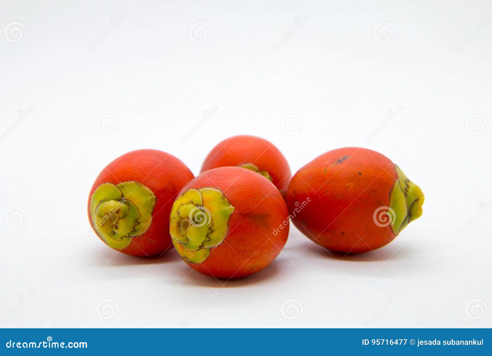 Fruto Da Palma De Raja No Fundo Branco, Imagem de Stock - Imagem de ...
