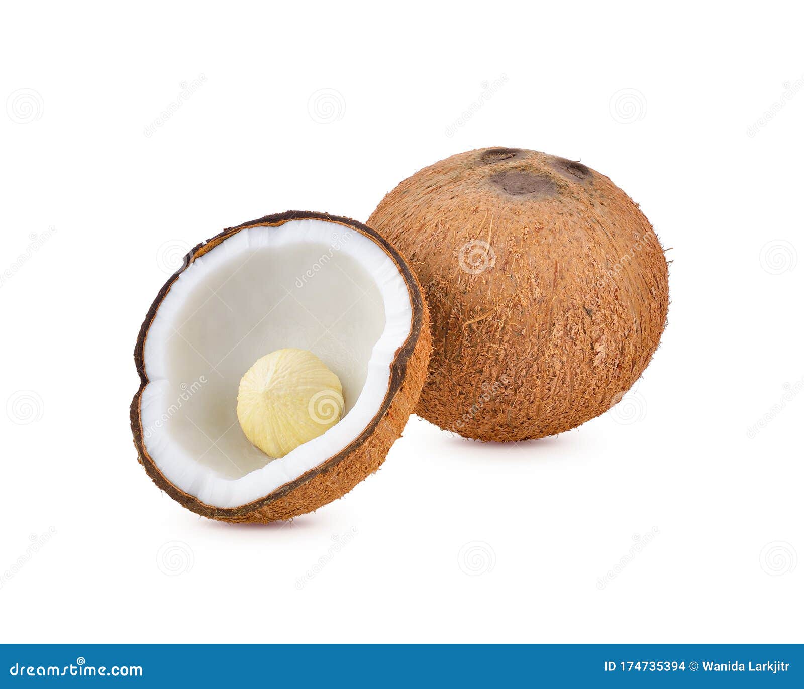 Fruto De Coco Sobre Fondo Blanco Foto de archivo - Imagen de primer ...