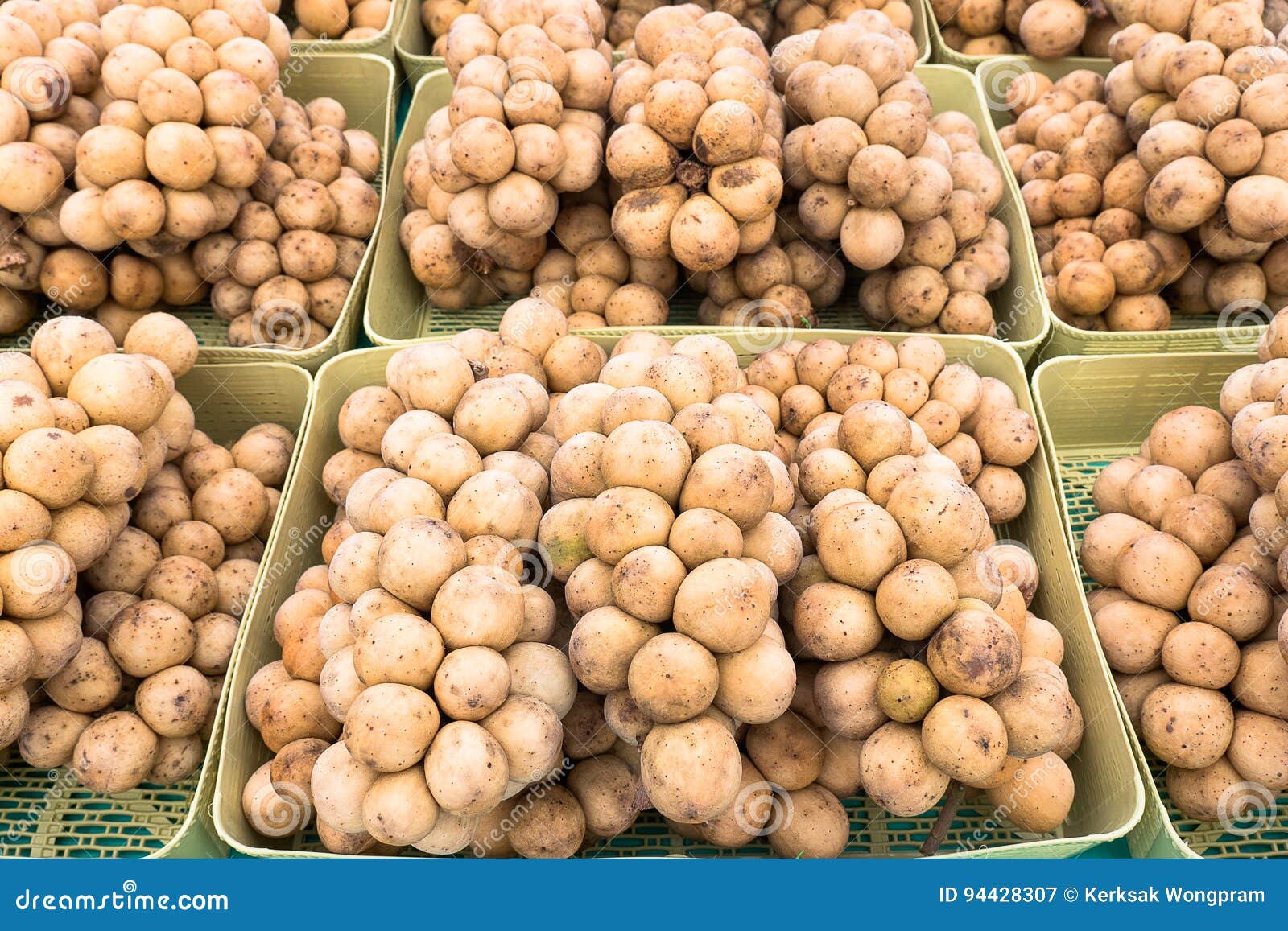 Fruto De Longkong, De Langsat Ou De Lanzones, Tailândia Imagem de Stock ...