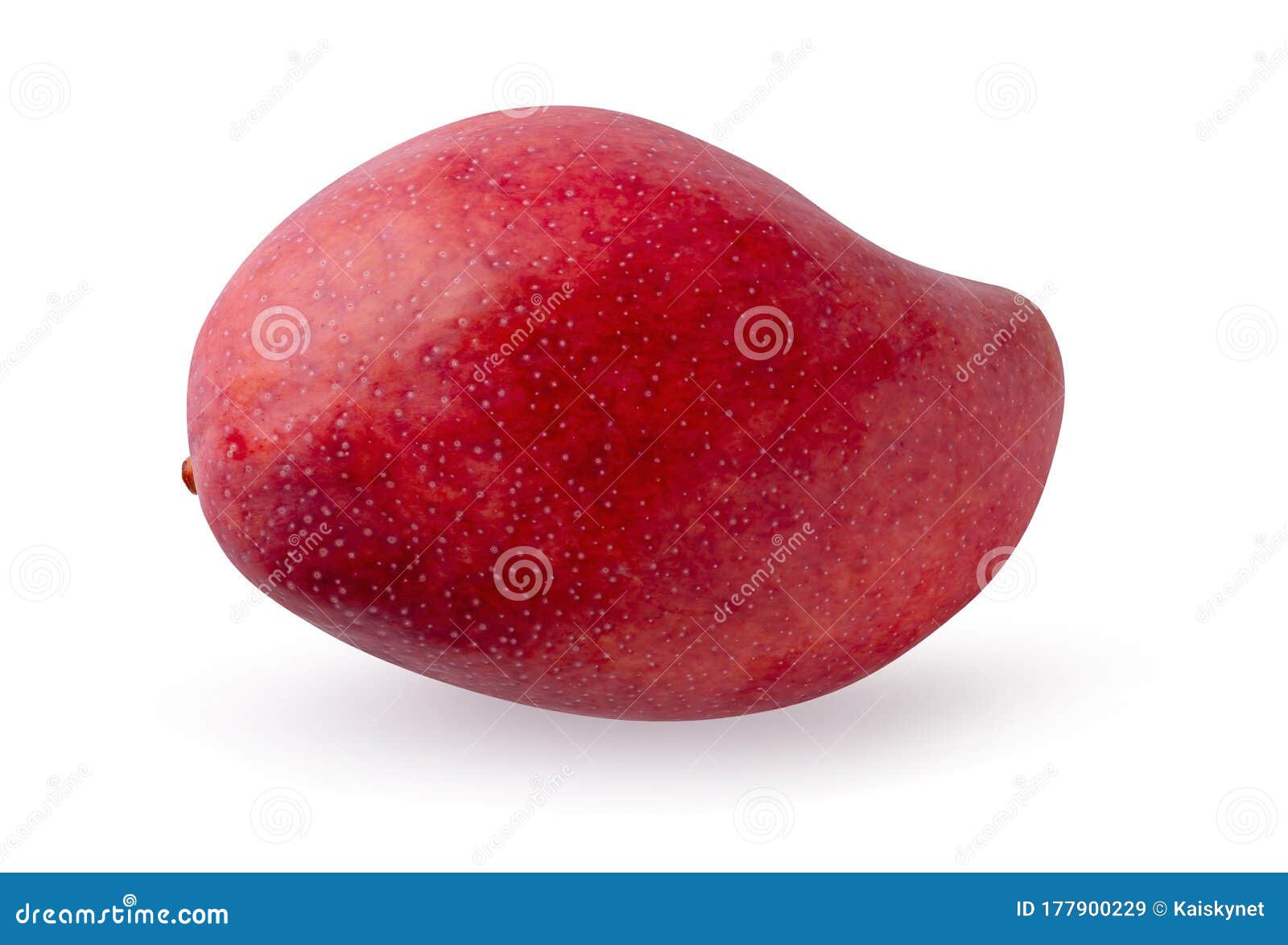Fruto De Mango Aislado En Un Fondo Blanco Imagen de archivo - Imagen de ...