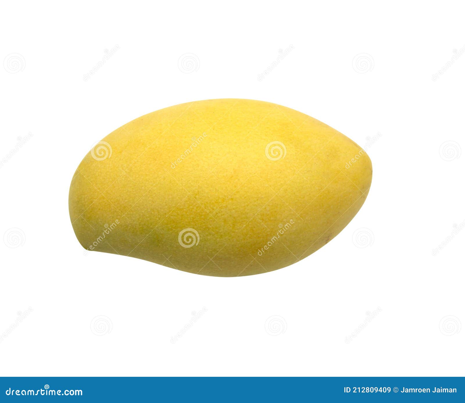 Fruto De Mango Aislado Sobre Fondo Blanco Imagen de archivo - Imagen de ...