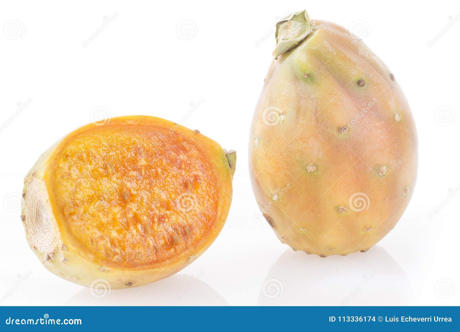 Fruto Do Cacto - Ficus Do Opuntia Indica Foto de Stock - Imagem de ...