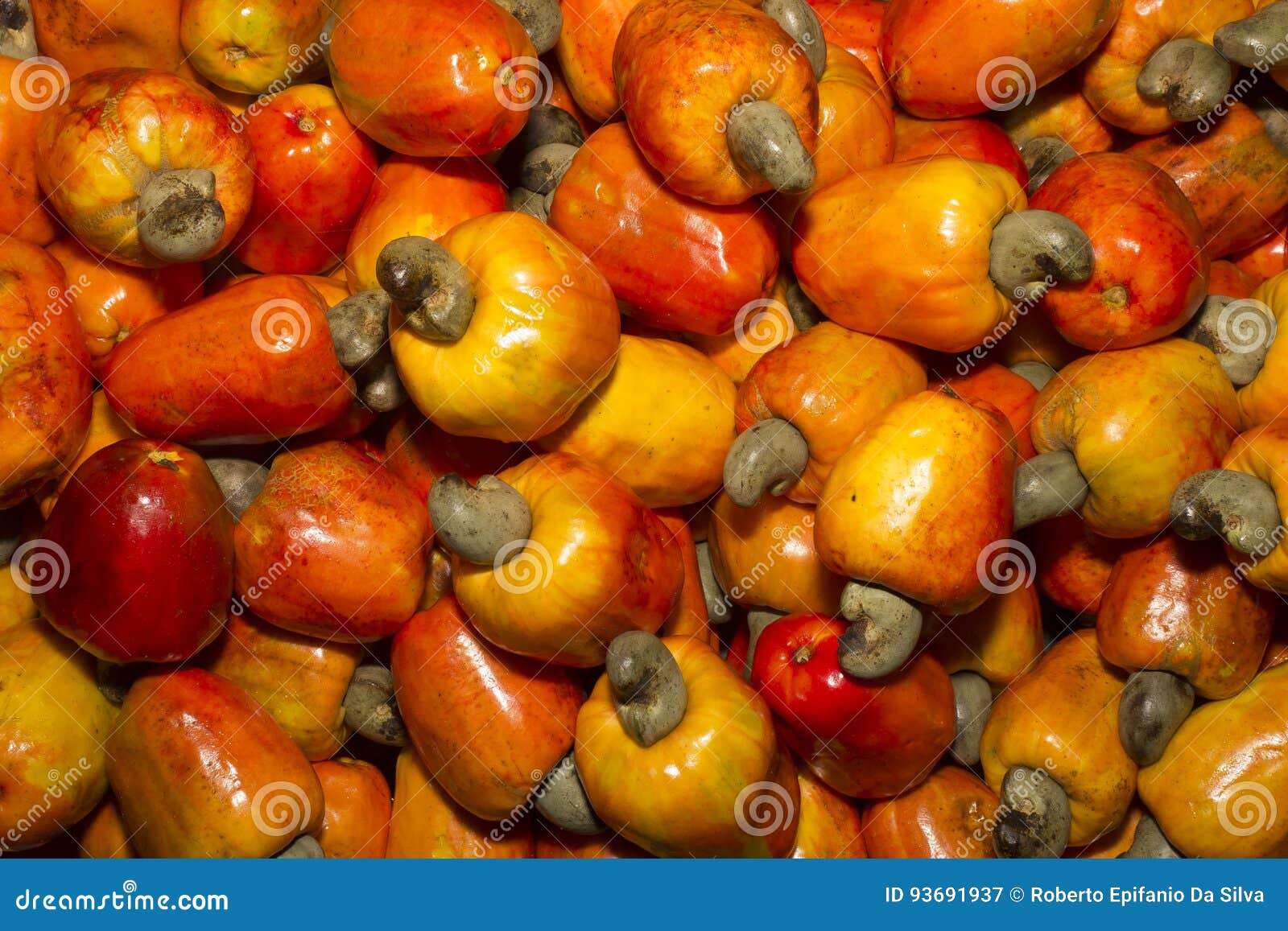 Fruto do caju imagem de stock. Imagem de planta, dieta - 93691937