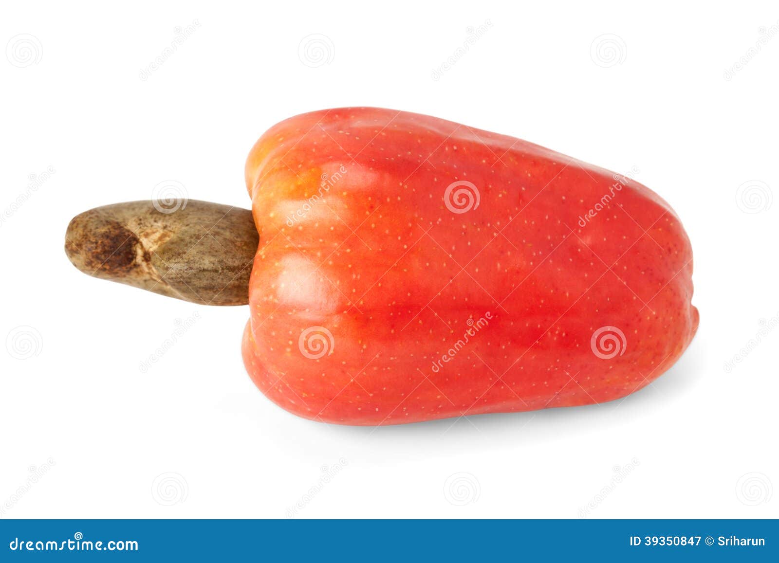 Fruto Do Caju De Caju Do Brasileiro Imagem de Stock - Imagem de ...