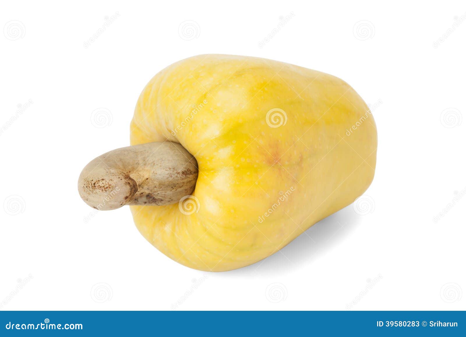 Fruto Do Caju De Caju Do Brasileiro Imagem de Stock - Imagem de folha ...