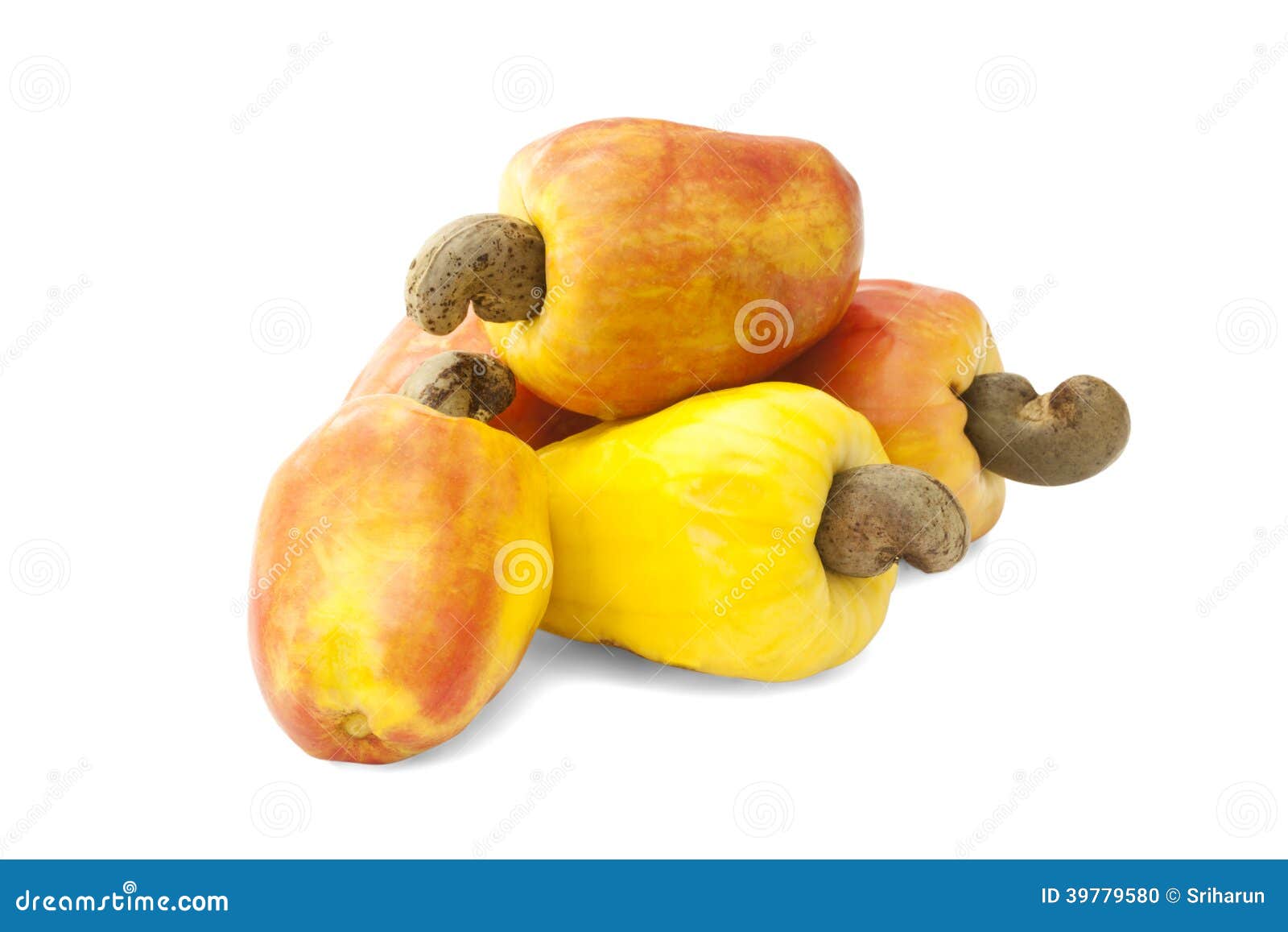 Fruto Do Caju De Caju Do Brasileiro Foto de Stock - Imagem de frescor ...