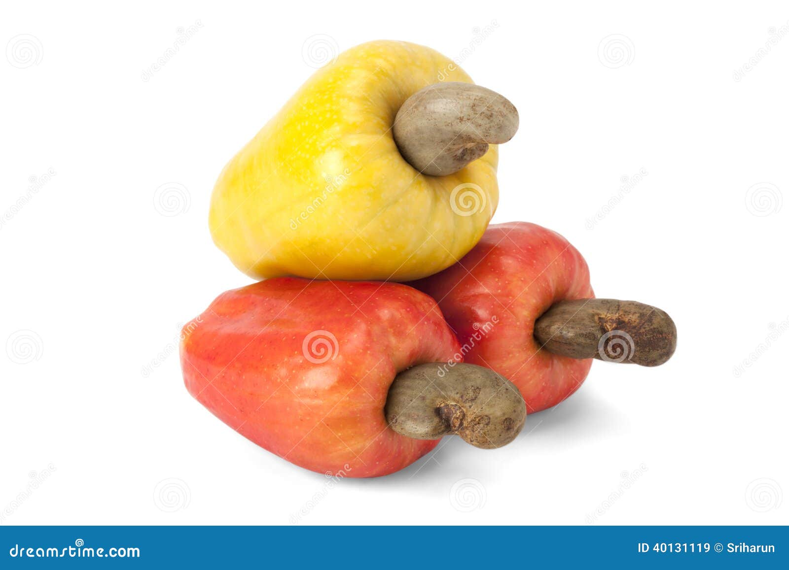 Fruto Do Caju De Caju Do Brasileiro Imagem de Stock - Imagem de ...