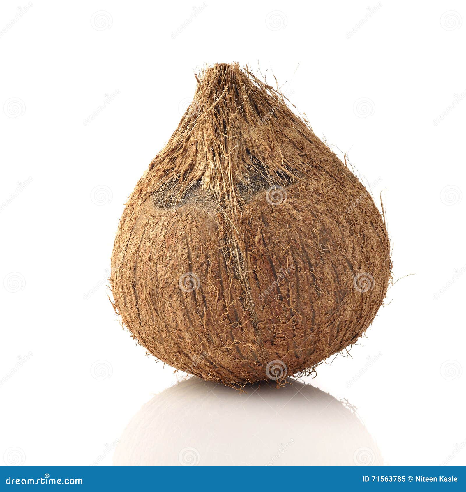 Fruto do coco imagem de stock. Imagem de alimento, fruta - 71563785