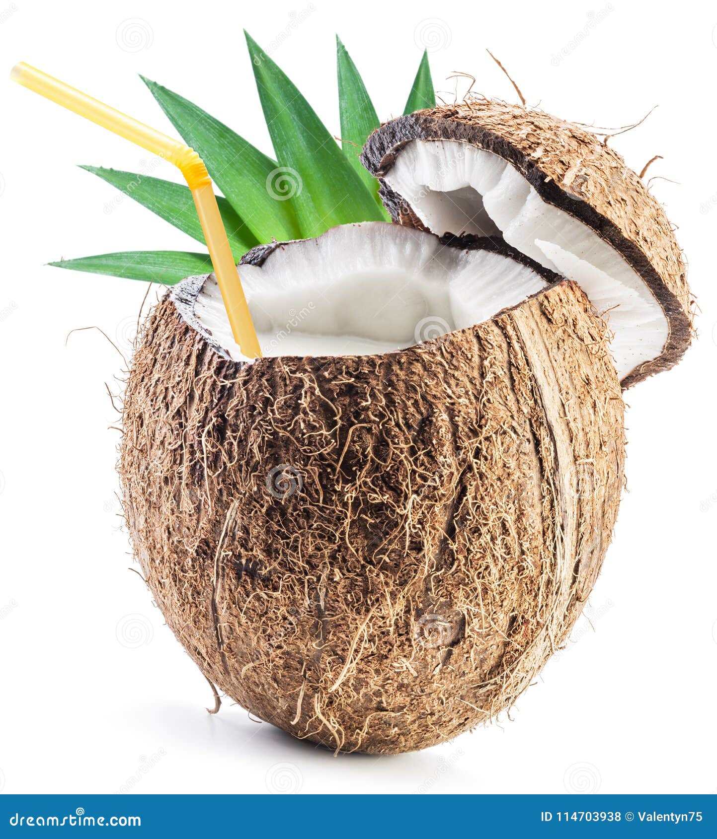 Fruto Do Coco Com Folhas Do Coco Foto de Stock - Imagem de casca ...