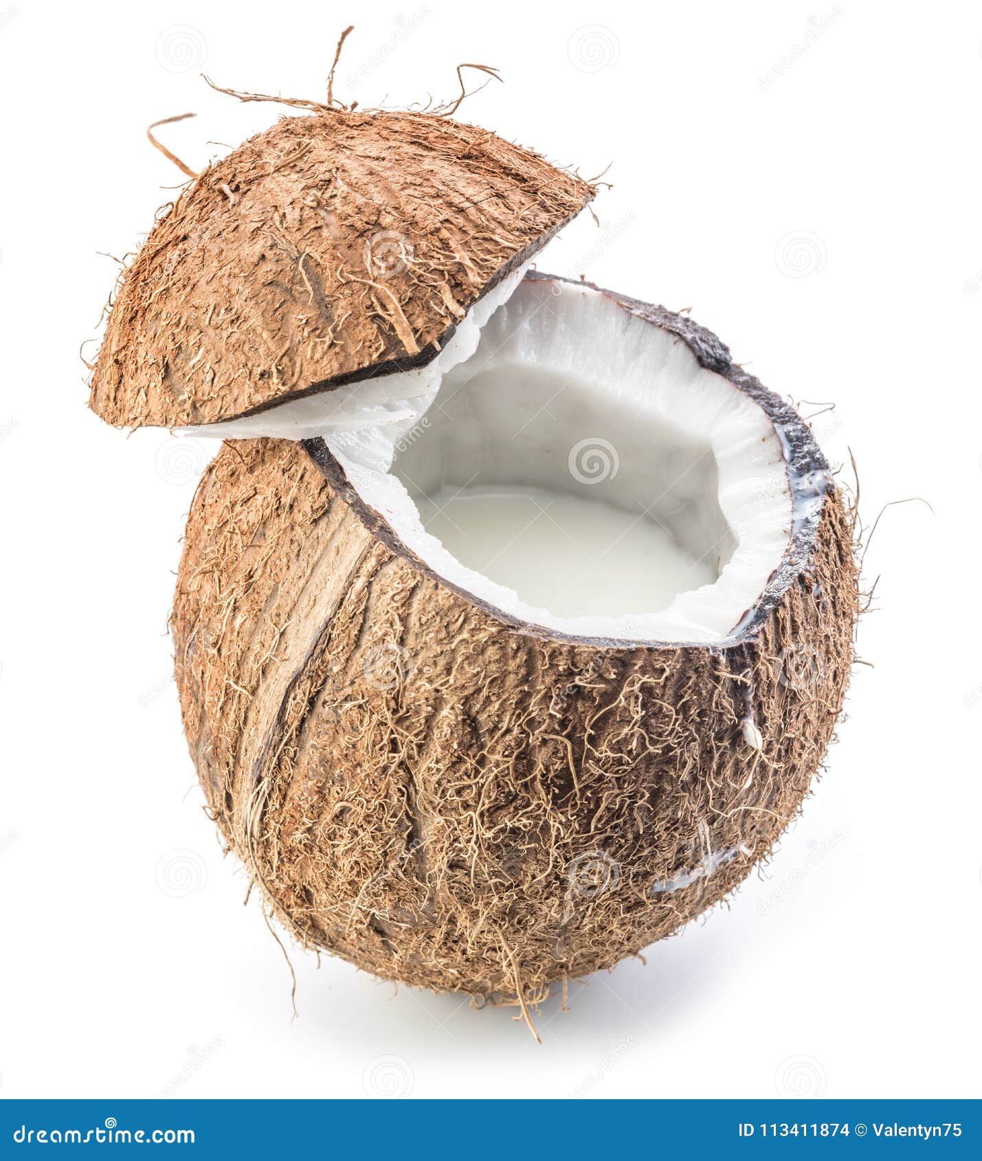 Fruto do coco em um branco foto de stock. Imagem de fruta - 113411874