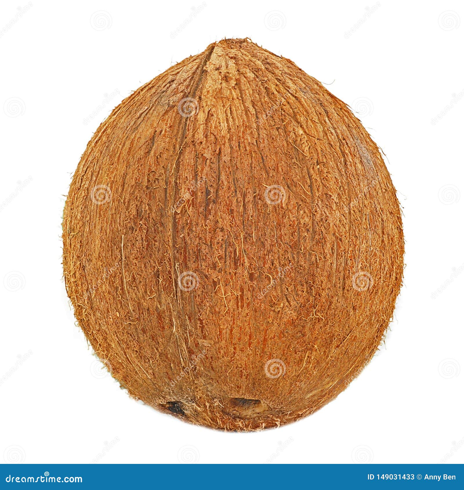 Fruto Do Coco Isolado No Fundo Branco Imagem de Stock - Imagem de comer ...