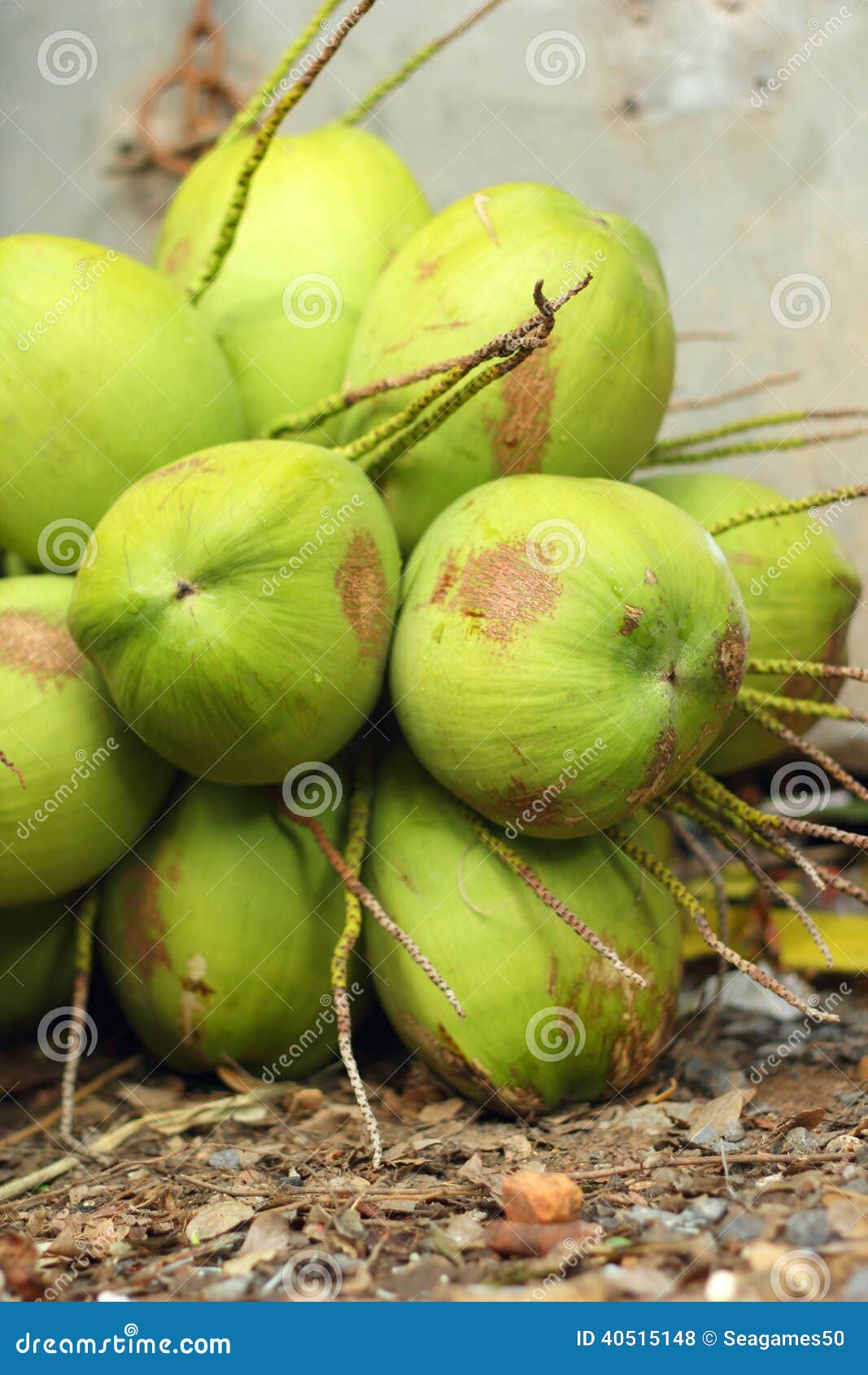 Fruto do coco no mercado foto de stock. Imagem de exterior - 40515148