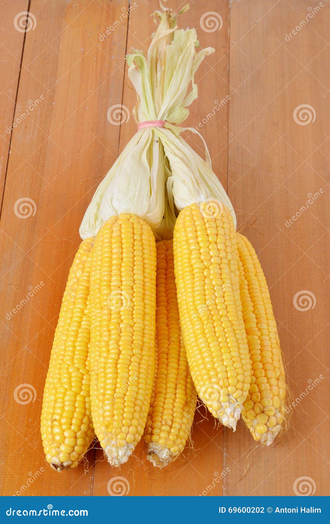 Fruto do milho foto de stock. Imagem de ninguém, macro - 69600202