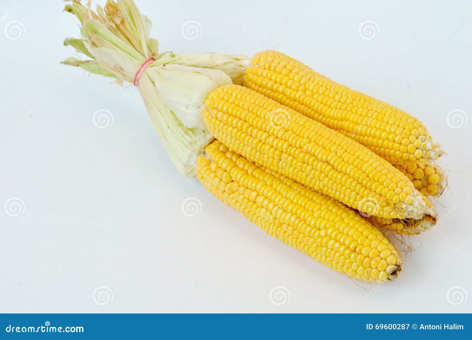 Fruto do milho imagem de stock. Imagem de pipoca, cubo - 69600287