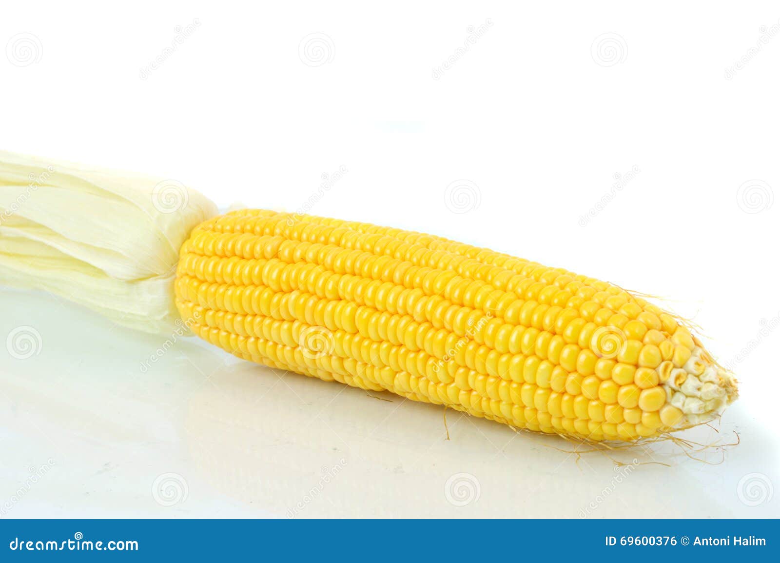 Fruto do milho foto de stock. Imagem de vida, nutritivo - 69600376