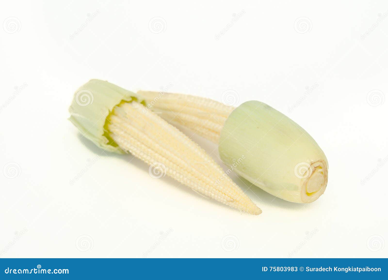 Fruto Do Milho De Bebê Isolado No Branco Imagem de Stock - Imagem de ...