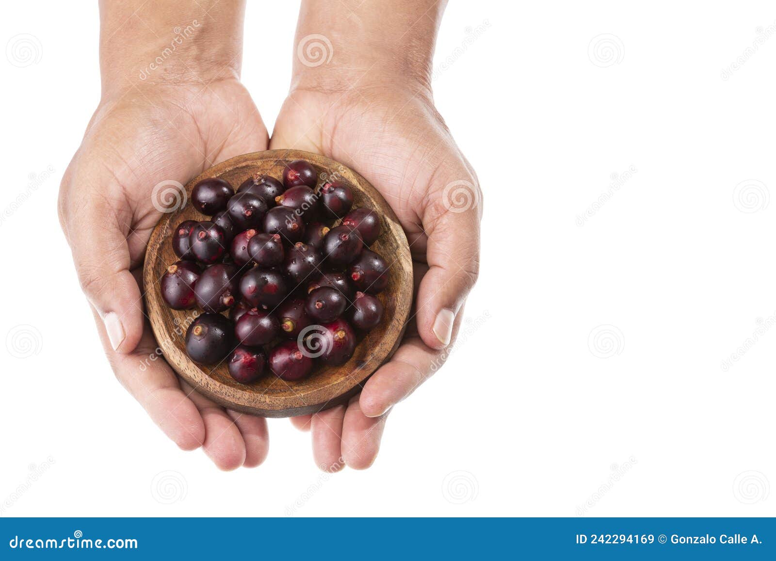Fruto Euterpe Oleracea Acai De La Palma Manaca Imagen de archivo ...