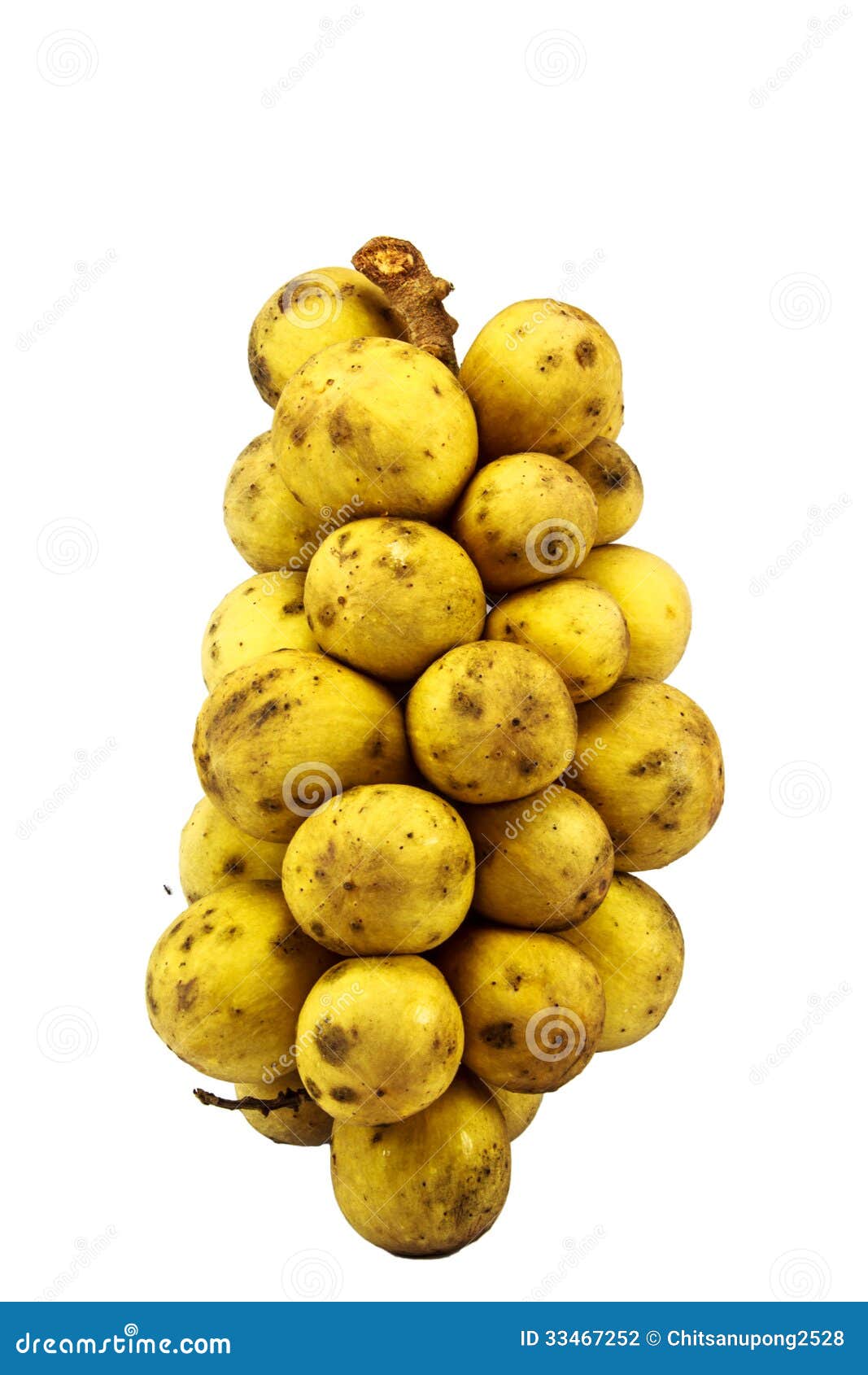 Fruto Langsat & Wollongong. Foto de Stock - Imagem de fruta, local ...