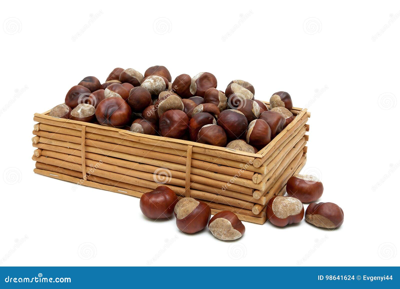 Fruto Maduro Da Castanha Isolado No Fundo Branco Foto de Stock - Imagem ...