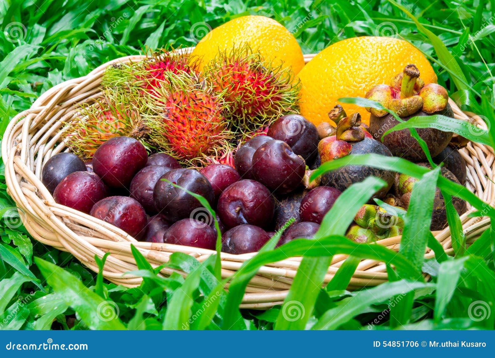 Fruto na cesta de bambu foto de stock. Imagem de alimento - 54851706