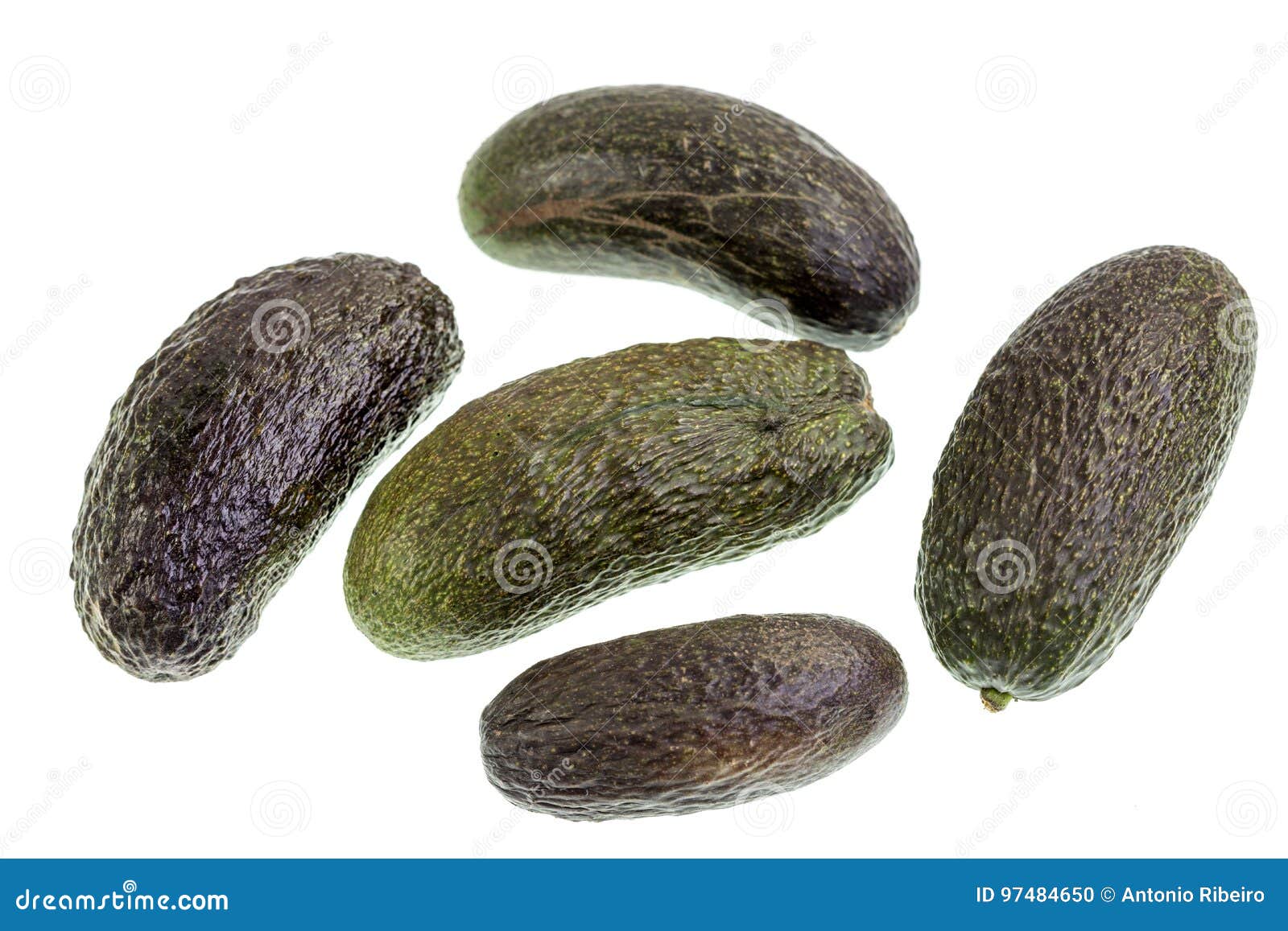 Fruto Sem Sementes Do Abacate Foto de Stock - Imagem de forma ...