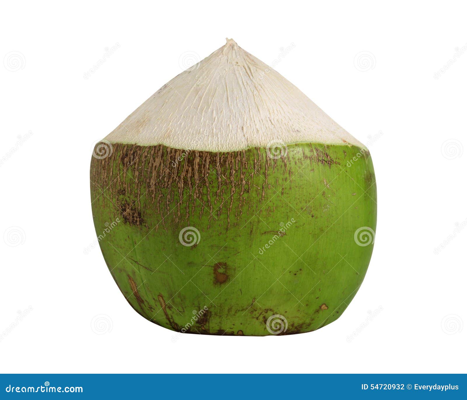 Fruto Verde Do Coco Isolado No Branco Foto de Stock - Imagem de coco ...