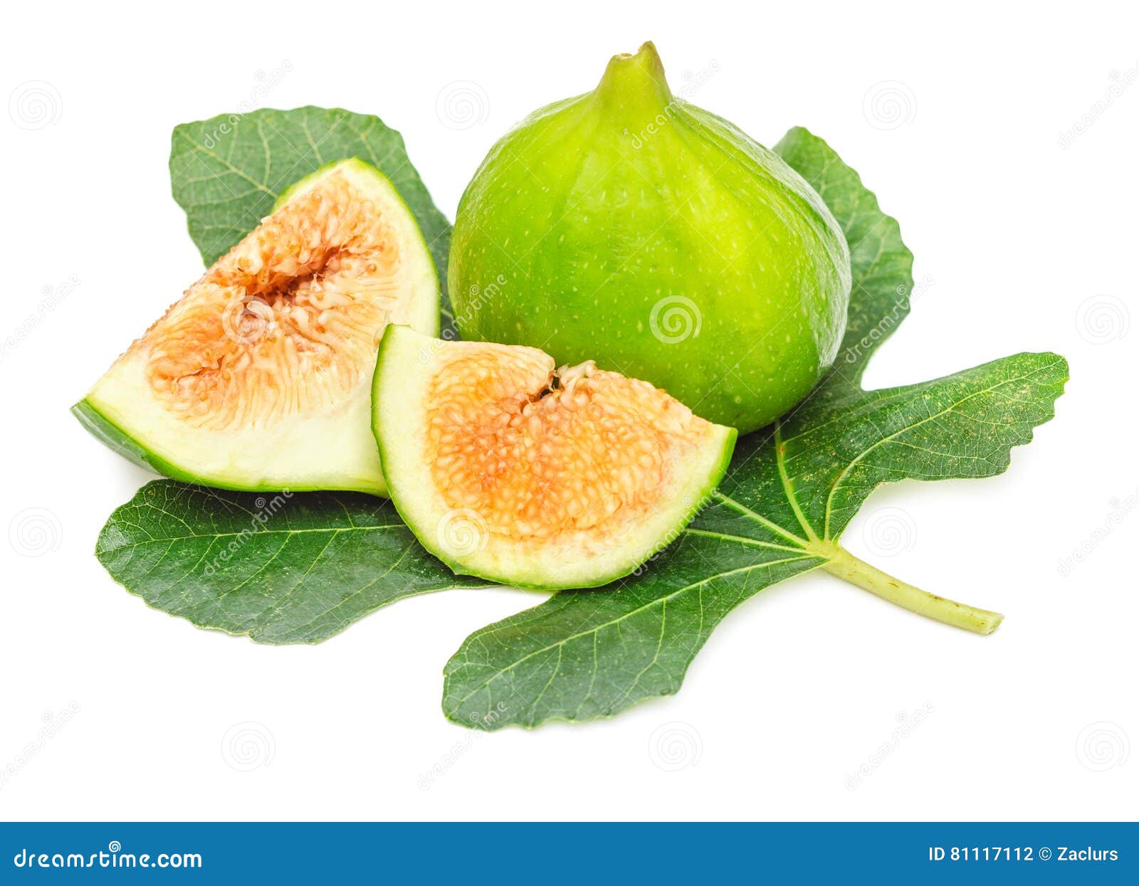 Fruto Verde Do Figo Isolado Foto de Stock - Imagem de isolado, nave ...