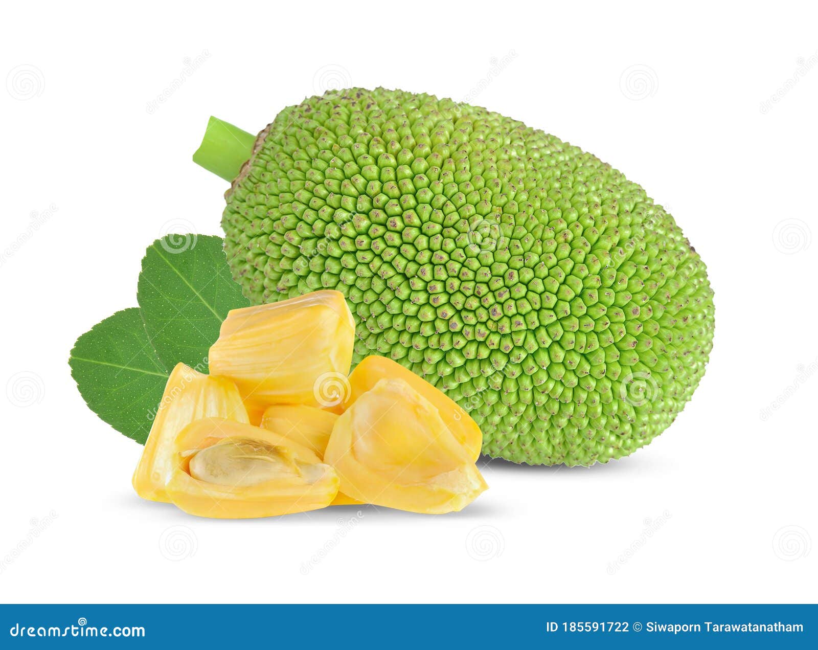 Frutos De Capucha Aislados De Fondo Blanco Foto de archivo - Imagen de ...