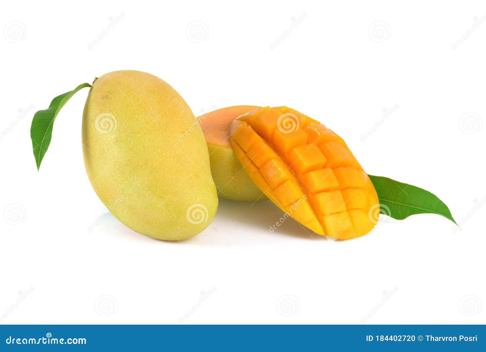 Frutos De Mango Aislados En Fondo Blanco Foto de archivo - Imagen de ...