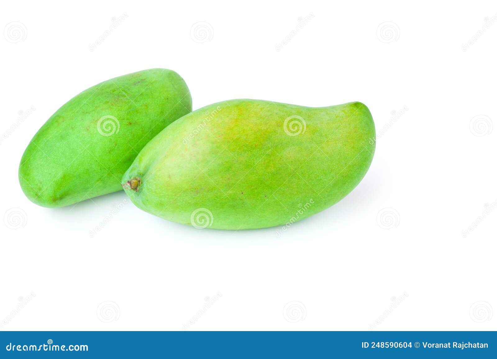 Frutos Verdes De Mango Sobre Fondo Blanco Foto de archivo - Imagen de ...