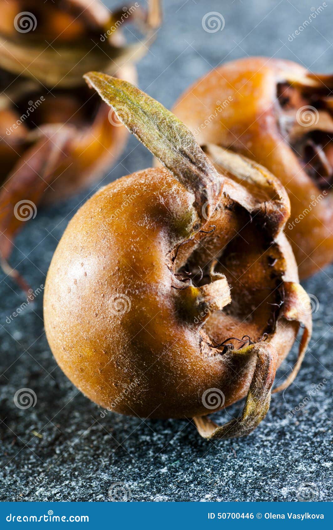 Frutta Comune Della Nespola Fotografia Stock - Immagine di asia ...