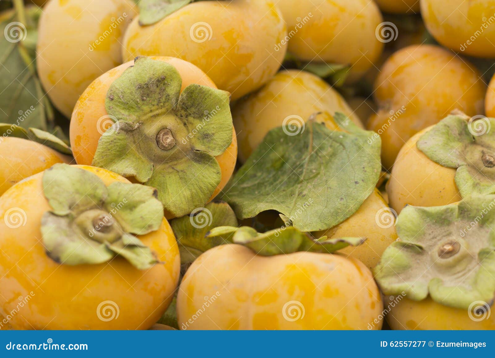 Frutta del cachi immagine stock. Immagine di fresco, mercato - 62557277