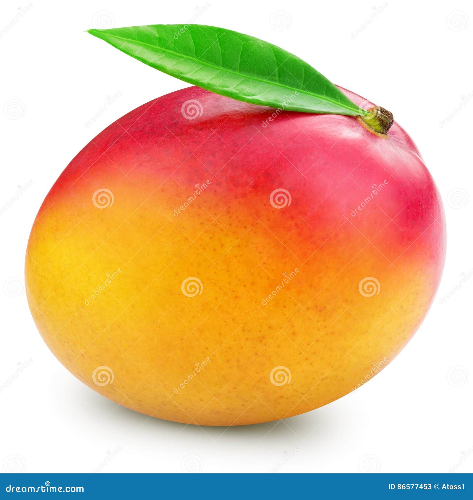 Frutta del mango isolata immagine stock. Immagine di taglio - 86577453