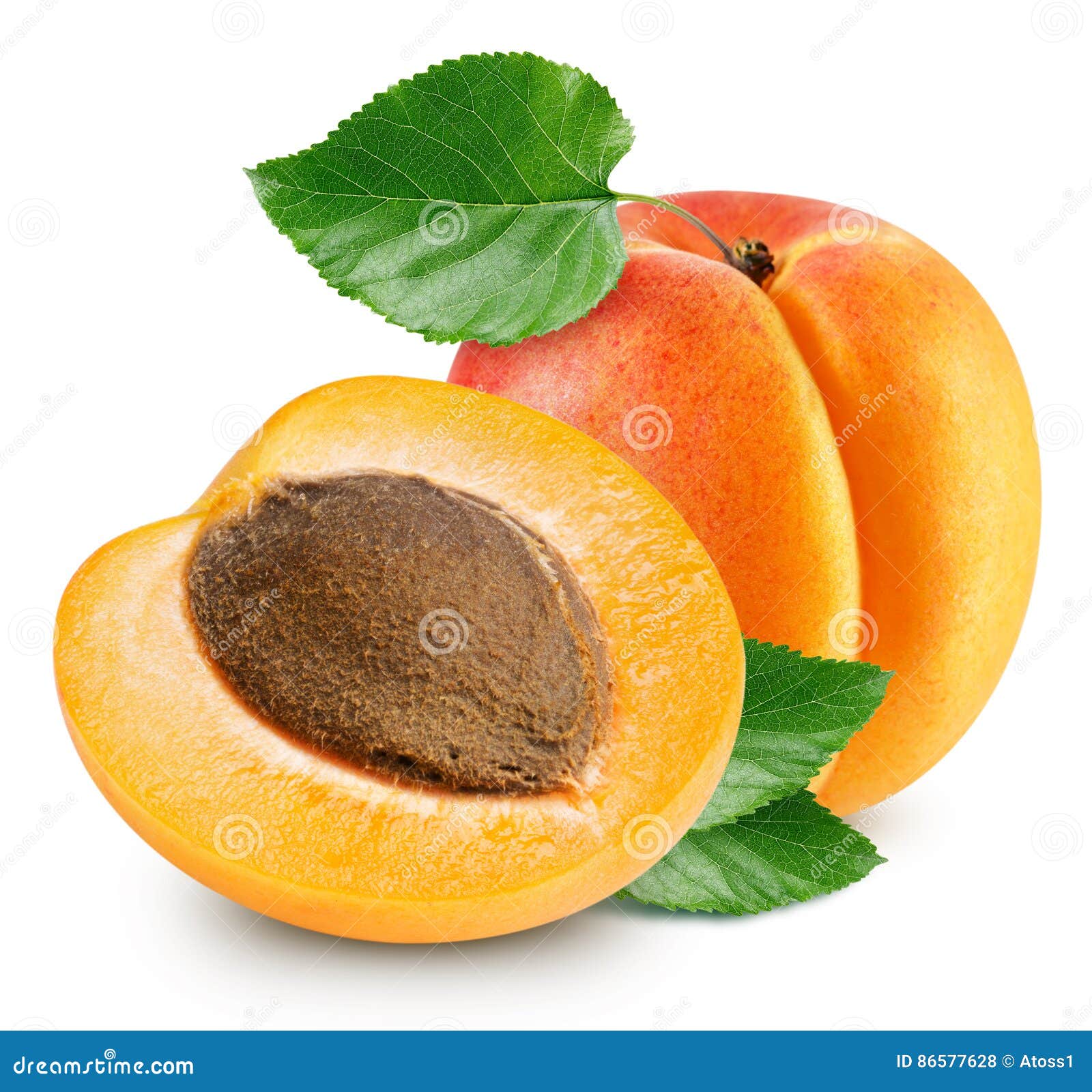 Frutta Dell'albicocca Isolata Fotografia Stock - Immagine di fresco ...