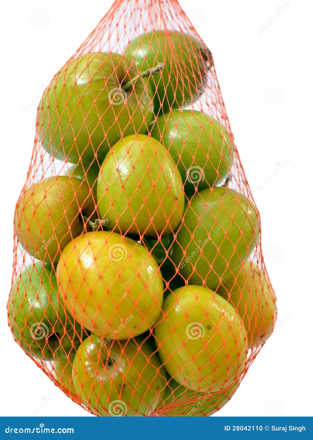 Frutta Della Giuggiola O Prugna Indiana Fotografia Stock - Immagine di ...