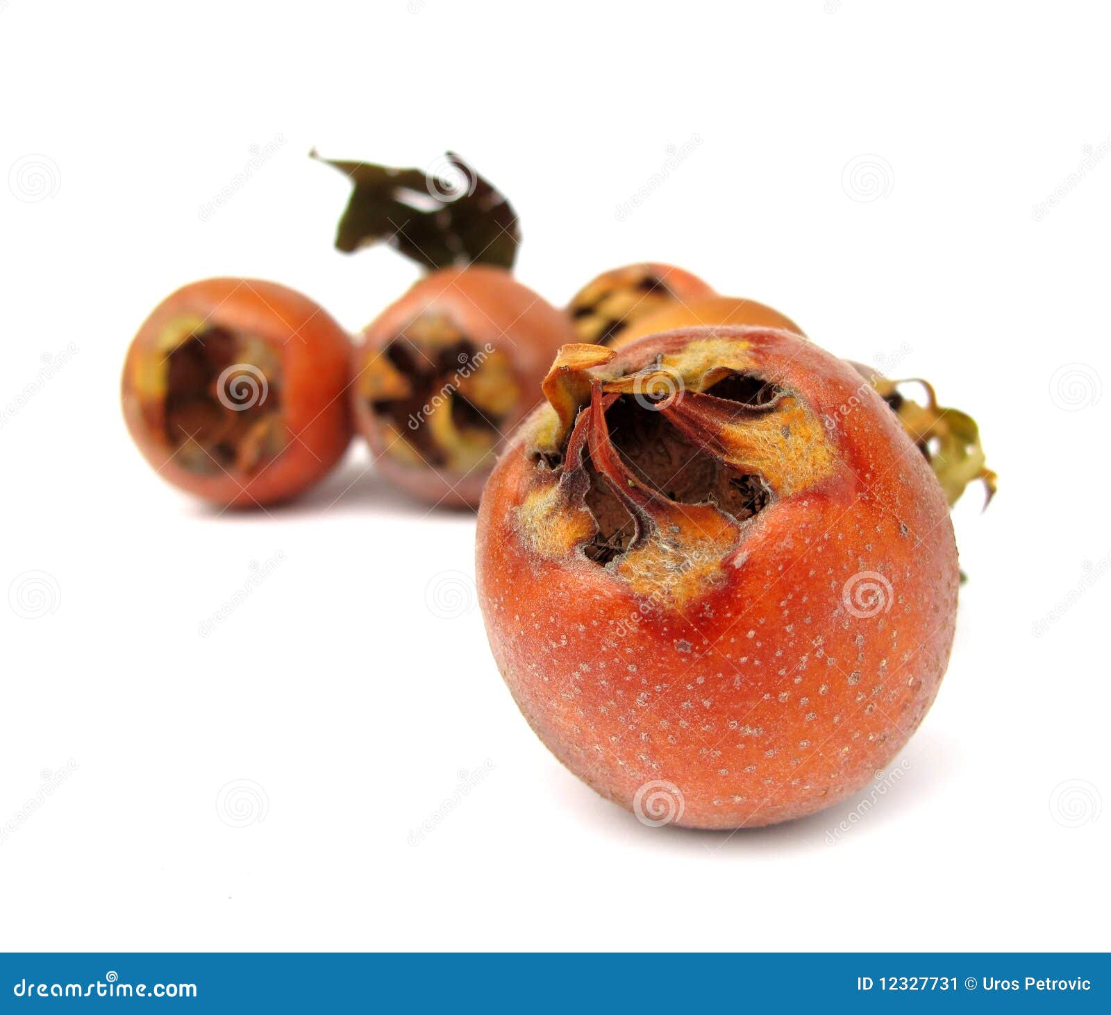 Frutta della nespola immagine stock. Immagine di bianco - 12327731