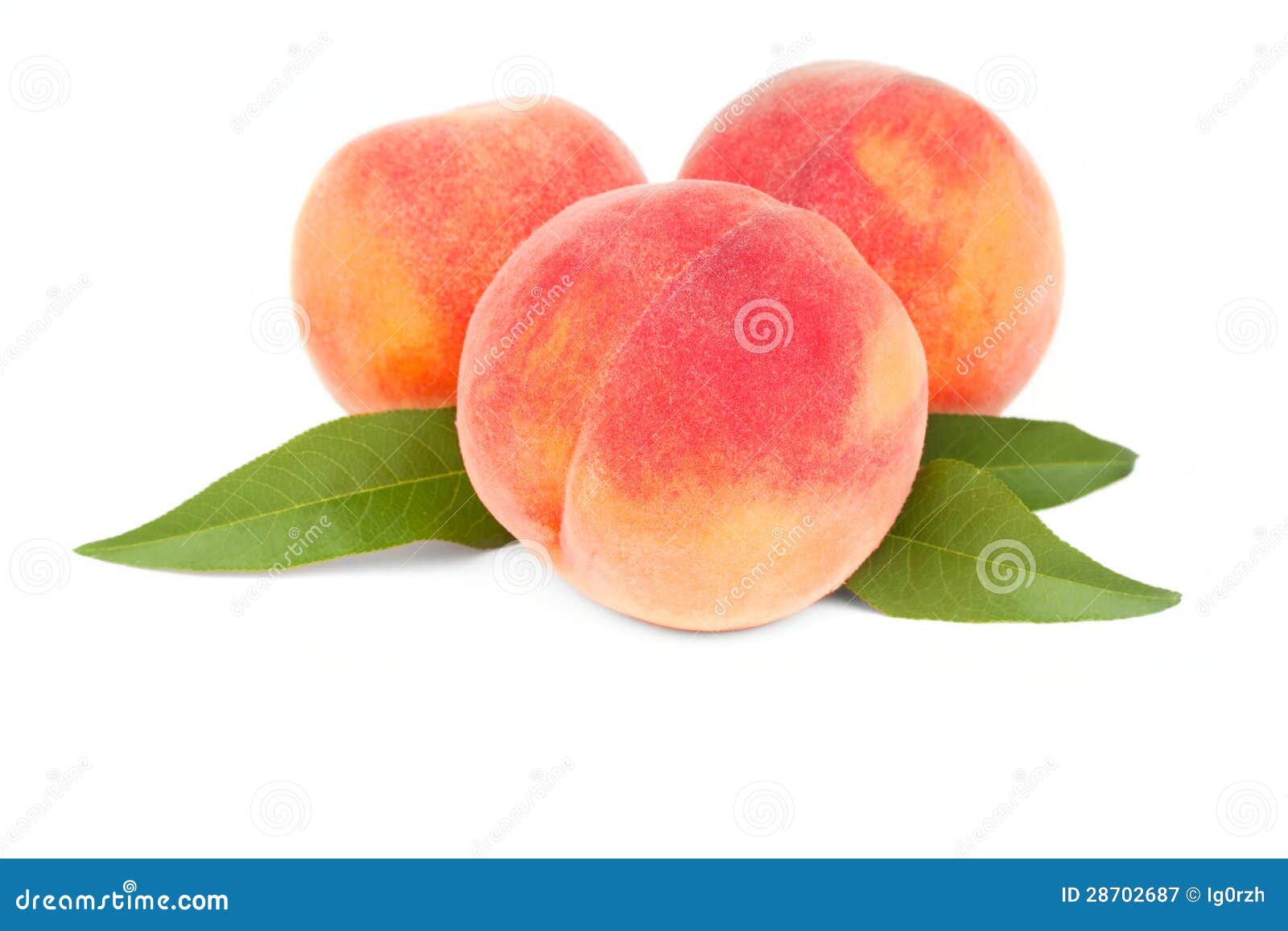 Frutta della pesca immagine stock. Immagine di frutta - 28702687