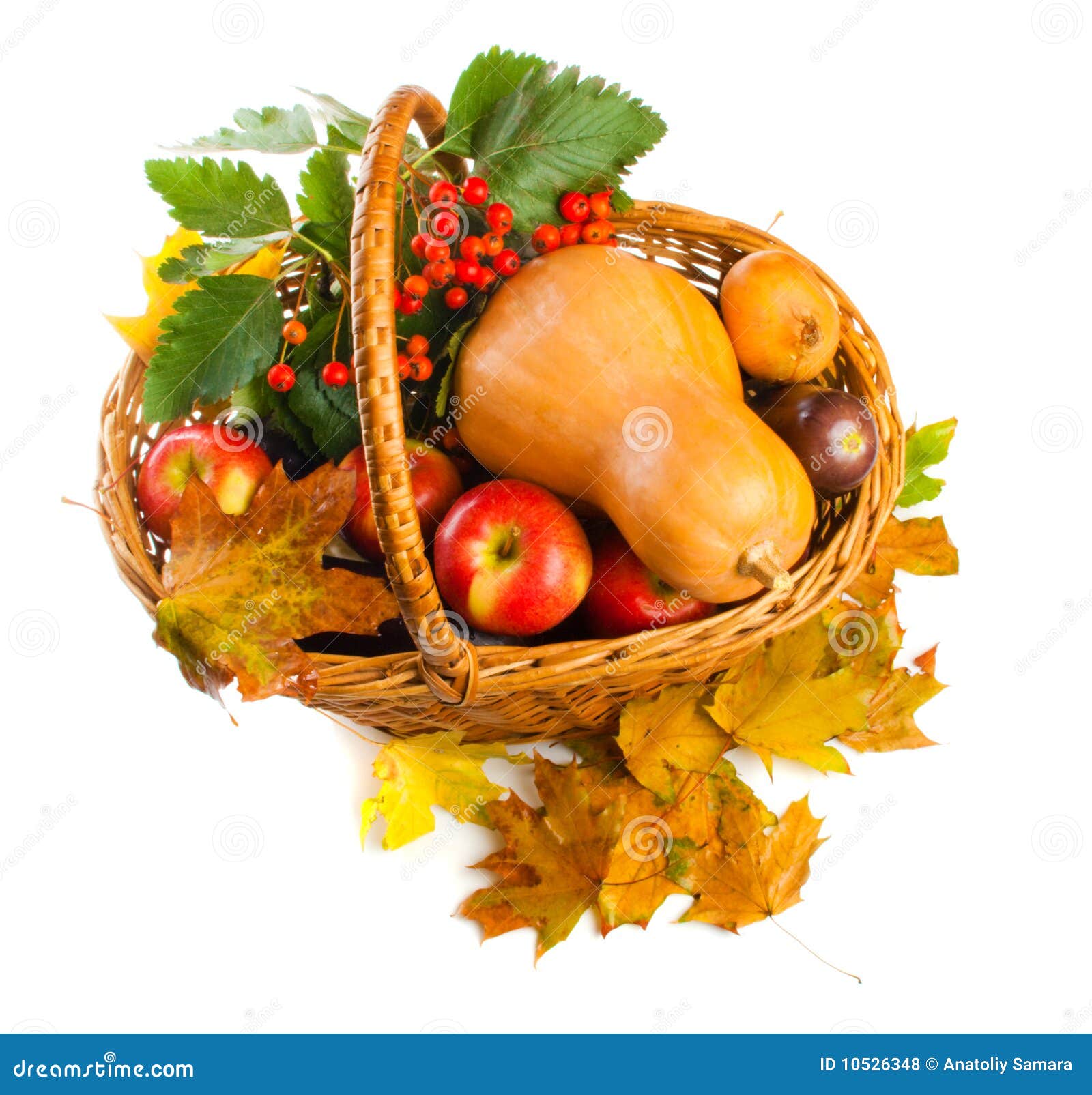 Frutta e verdure d'autunno fotografia stock. Immagine di salute - 10526348