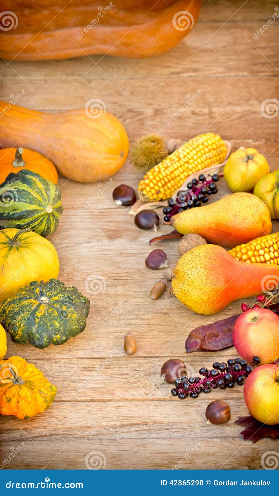 Frutta E Verdure Di Autunno Fotografia Stock - Immagine di ingrediente ...
